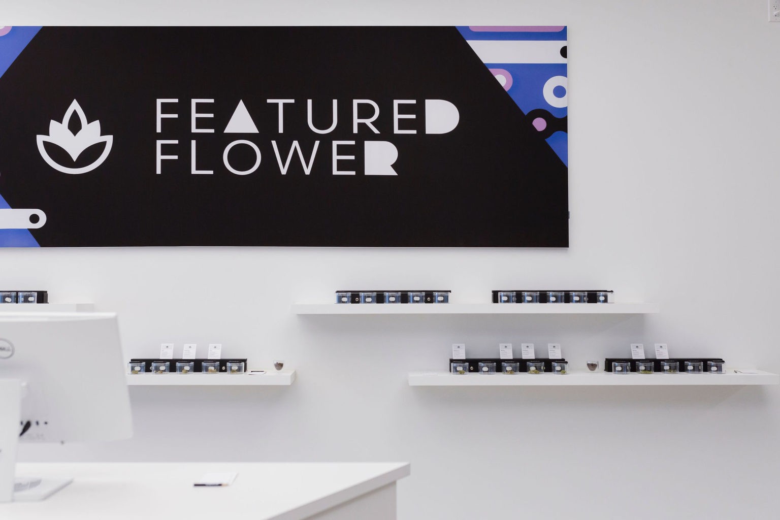 What it Really Takes to Thrive in Canada’s Retail Cannabis Industry ...